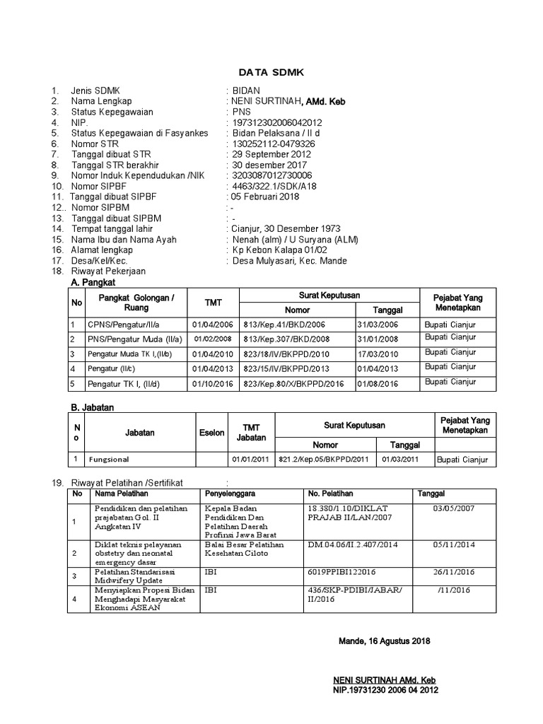 Data SDMK Neni | PDF