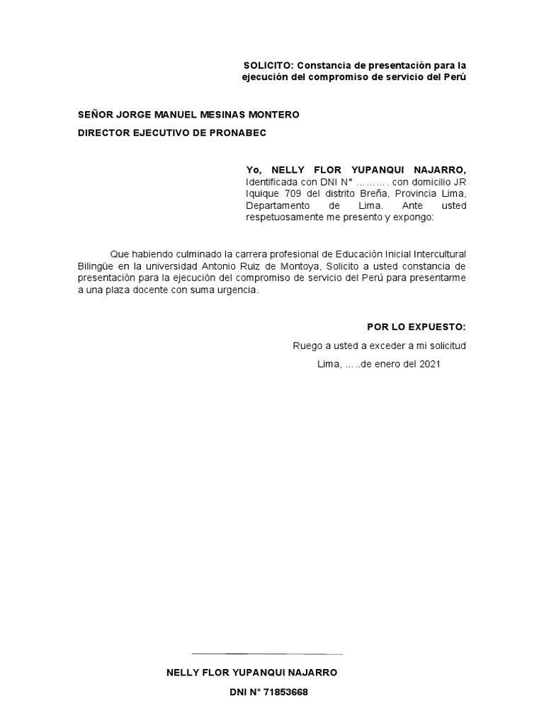 SOLICITO Constancia - Nelly | PDF