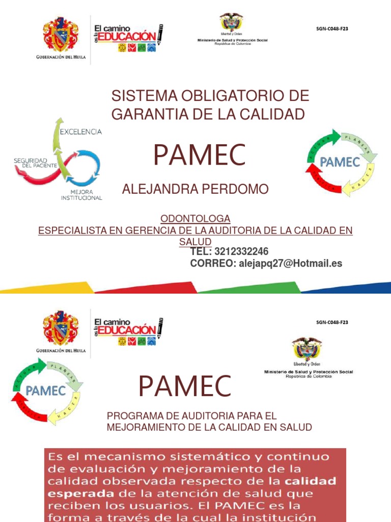 Enfoque del PAMEC en Salud 2025 | PDF | Auditoría | Evaluación