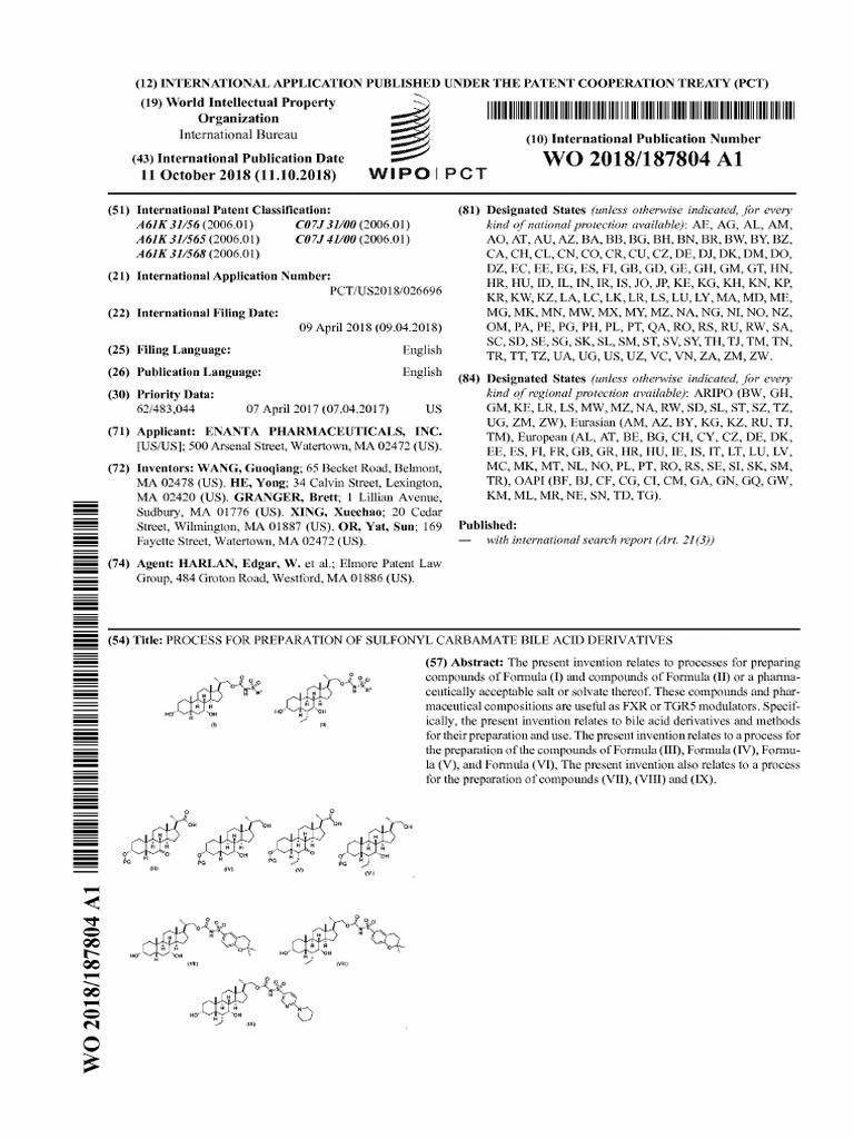 PCT - International Application | PDF
