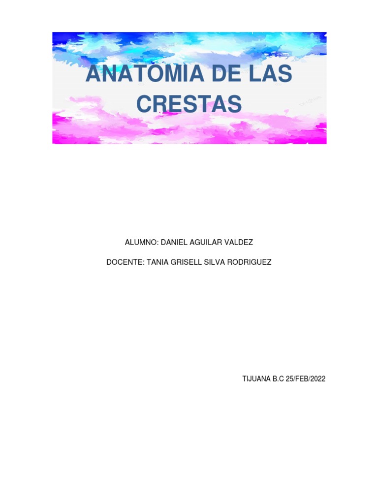 Anatomia de Las Crestas | PDF | Piel | Anatomía