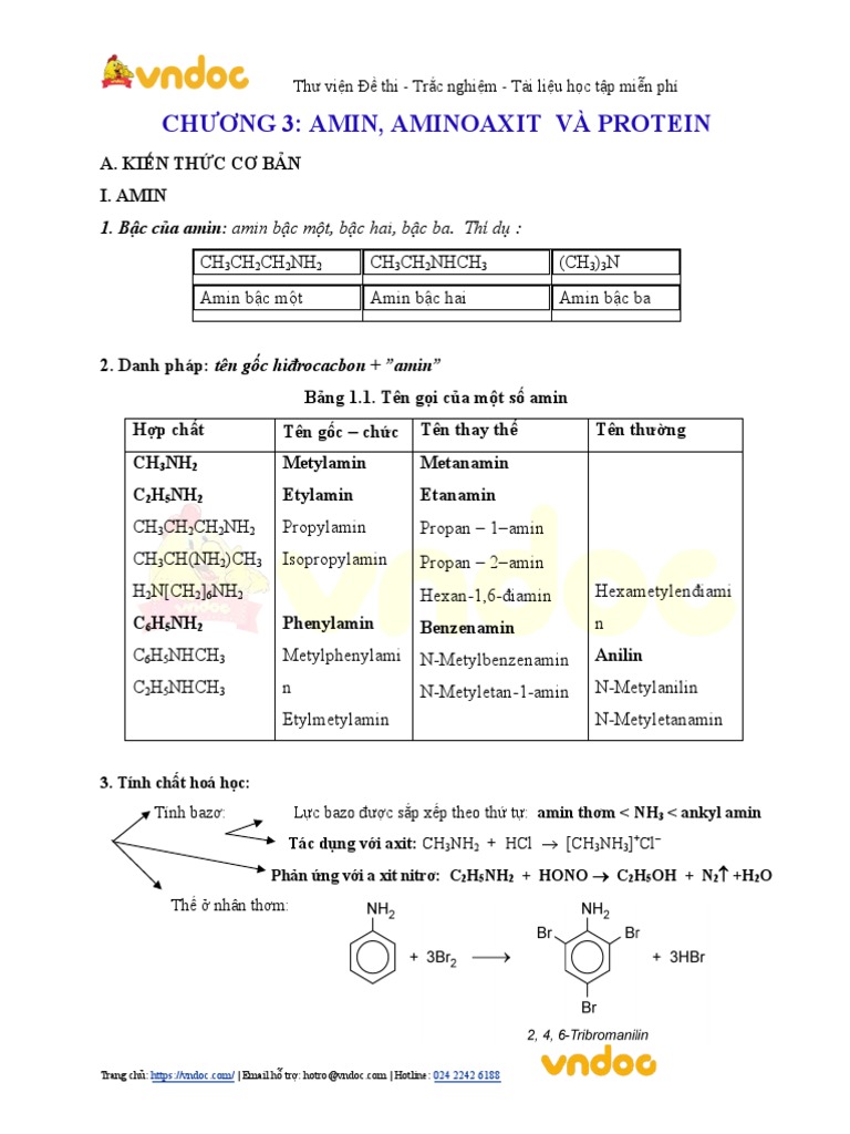 Ly Thuyet Hoa 12 Chuong 3 Amin Amino Axit Va Protein | PDF