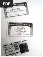 SSN and DOB Data Overview | PDF