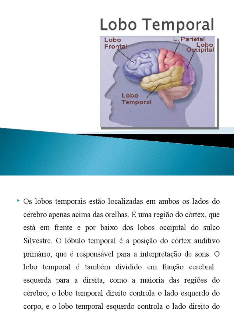 Lobo Temporal | PDF | Memória | Lobo temporal