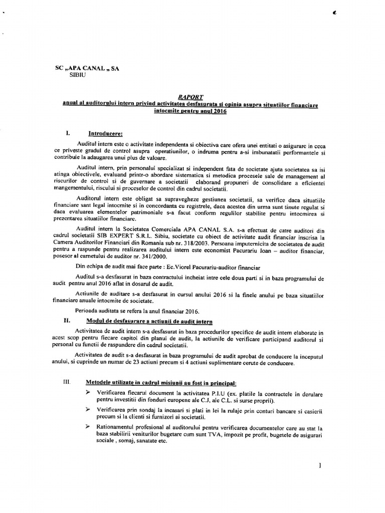 Raport Audit Intern 2016 | PDF