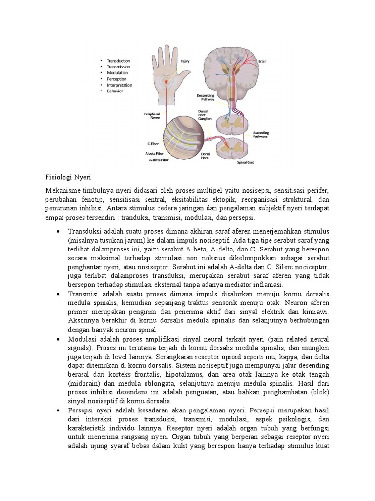 Mekanisme Fisiologi Nyeri Manusia | PDF