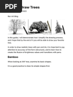 D06 - Spruce Tree | PDF | Drawing | Trees