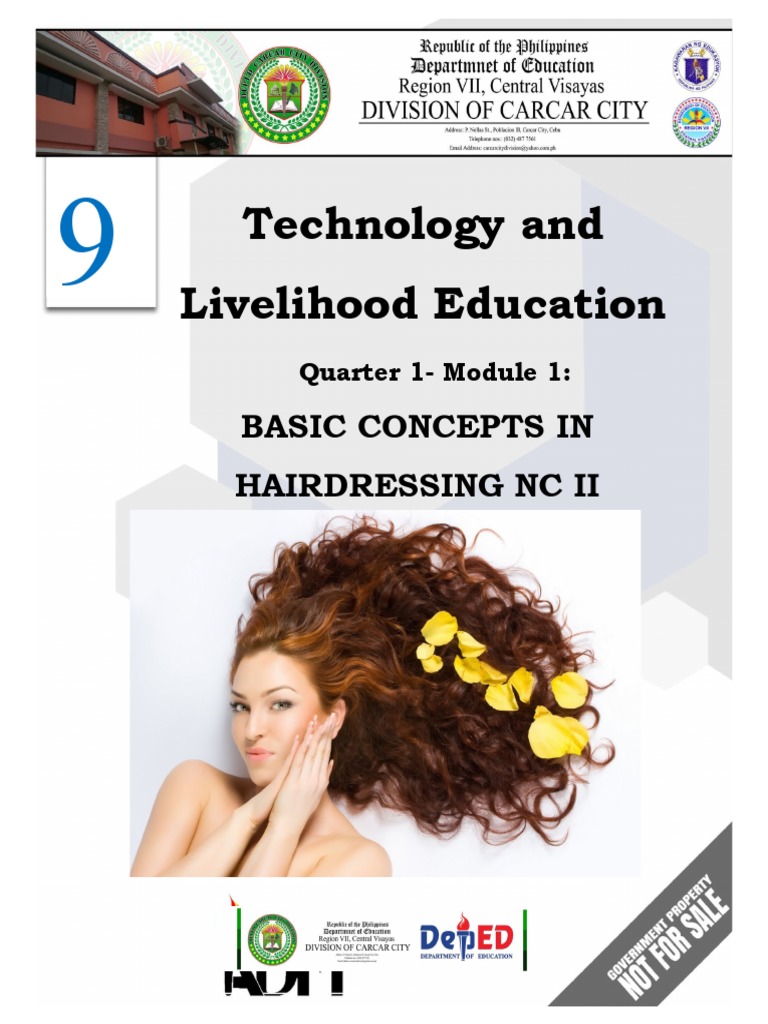 Technology and Livelihood Education: Basic Concepts in Hairdressing NC ...