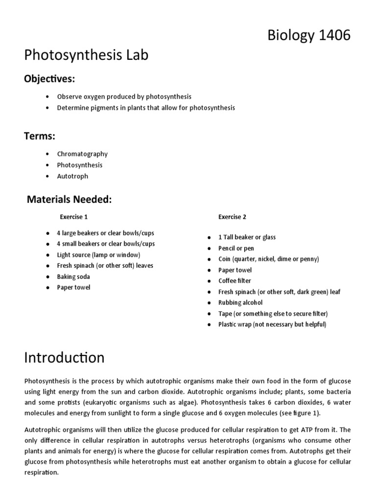 Photosynthesis Home Lab (1) | PDF | Cellular Respiration | Photosynthesis