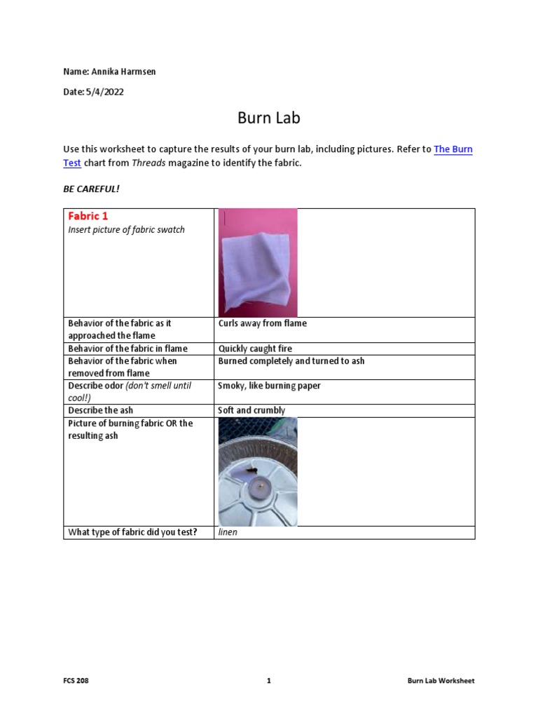 fcs208 Document Burn-Lab-Worksheet | PDF | Textiles | Materials