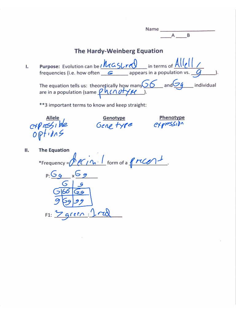 #097 The Hardy-Weinberg Equation | PDF