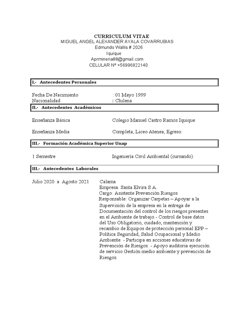 CV Miguel Ayala: Asistente Prevención de Riesgos | PDF