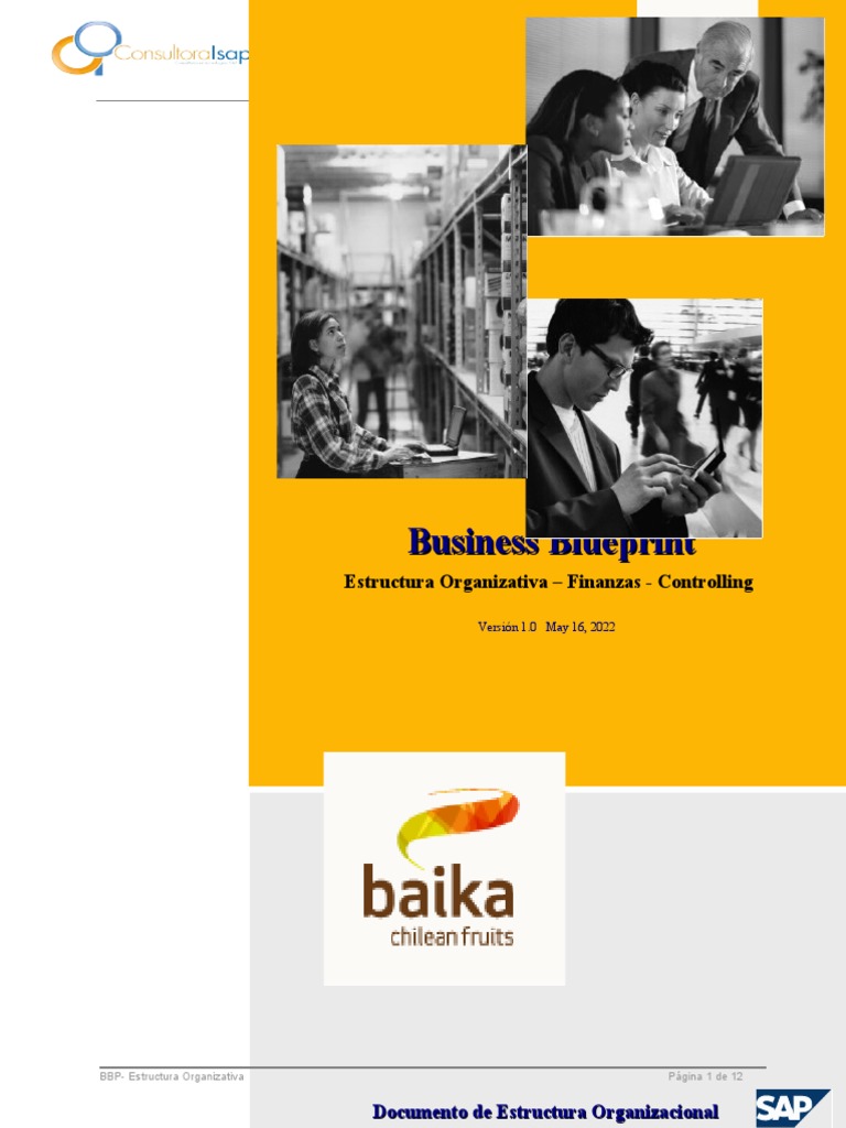 BBP-FI-BAIKA-Estructura Organizativa V4-2 | PDF | Contabilidad | Business
