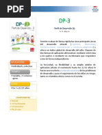 DP-3 Perfil de Desarrollo-3 CUESTIONARIO | PDF