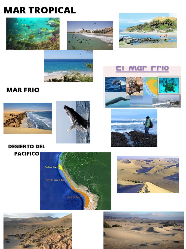 Ecor Region Es | PDF