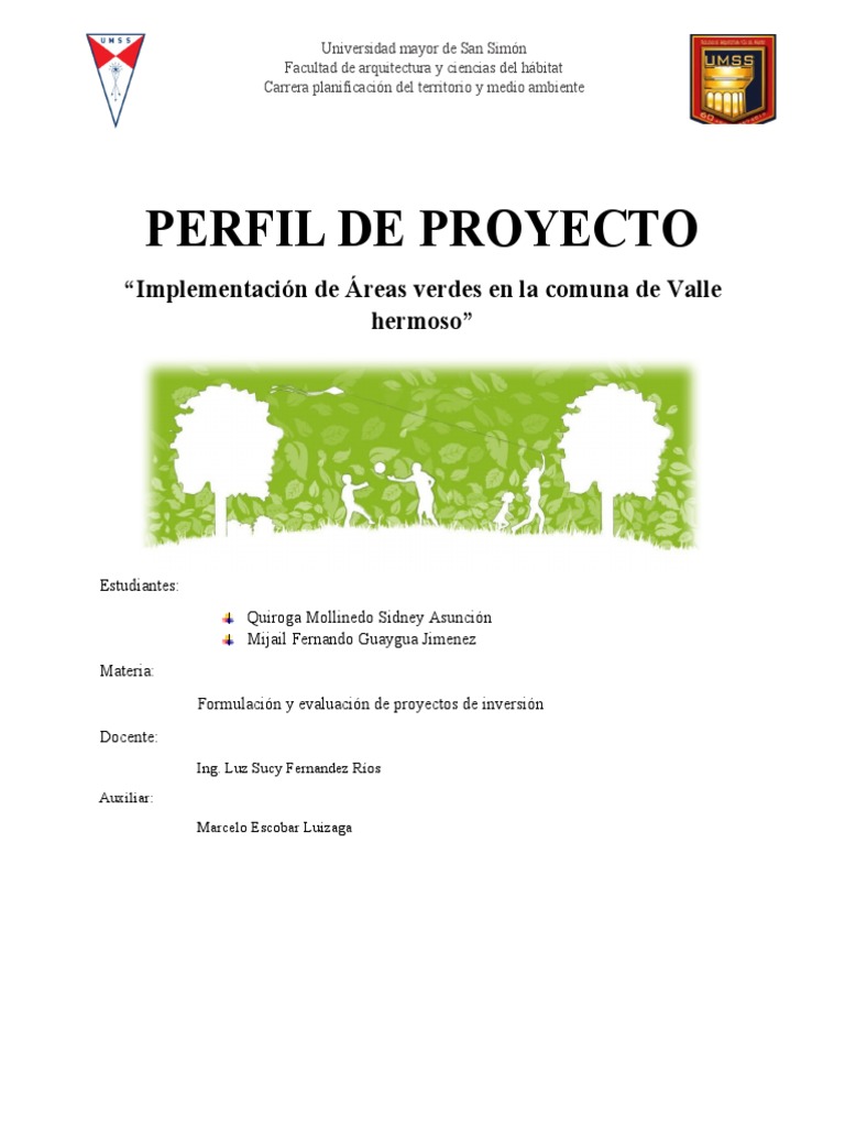 Perfil de Proyecto | PDF