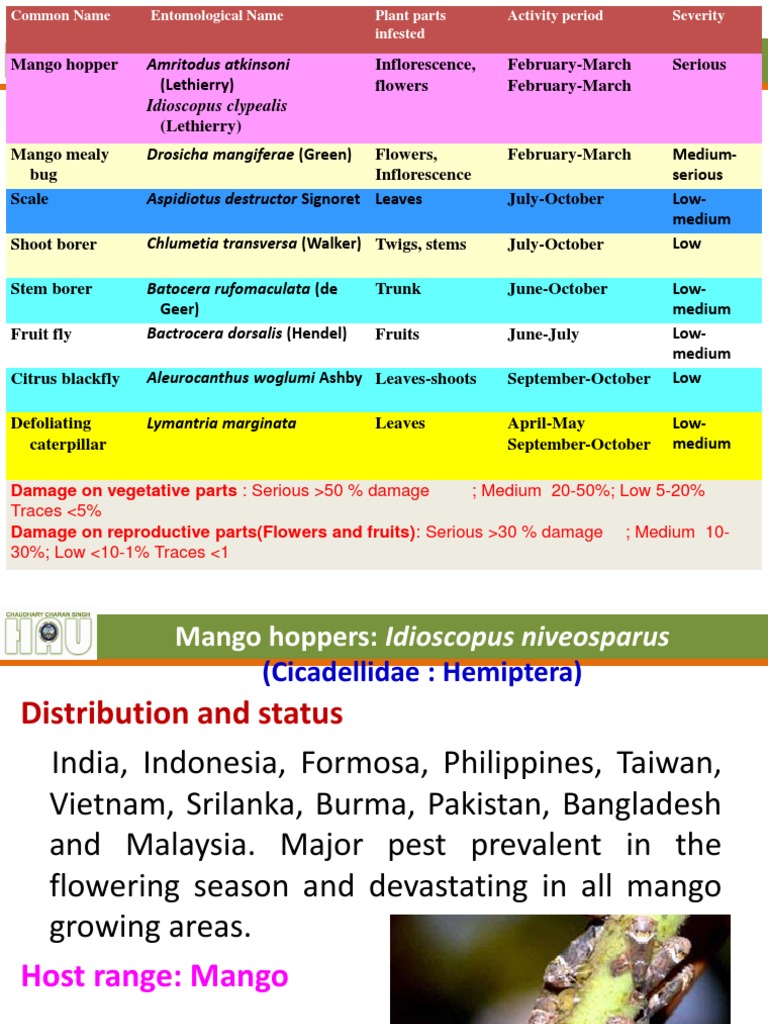 Insect Pest of Mango Banana Apple Sapota and Cashew | PDF | Plants ...