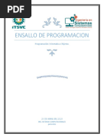 4.5 Gestion de Excepciones | PDF | Programación de computadoras | Software