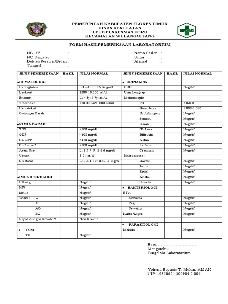 Format Pemeriksaan Laboratorium | PDF