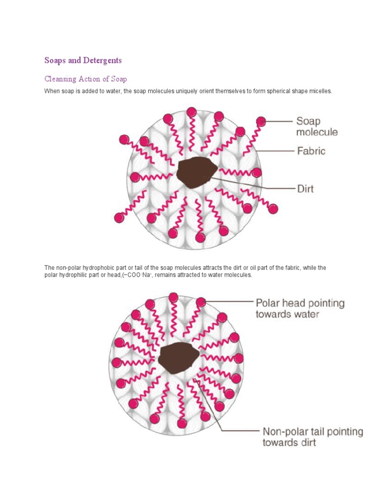 Soaps and Detergents: Cleansing Action of Soap | PDF | Chemical Bond ...