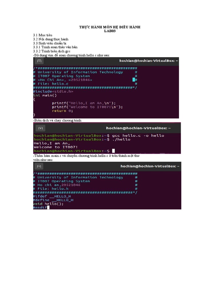 FILE 20220425 080453 (IT007.M11.MTCL.1) (20521046) (Lab3) | PDF