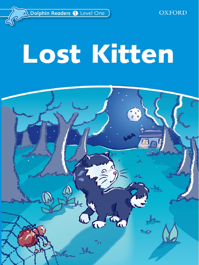 Story Lost Kitten PDF
