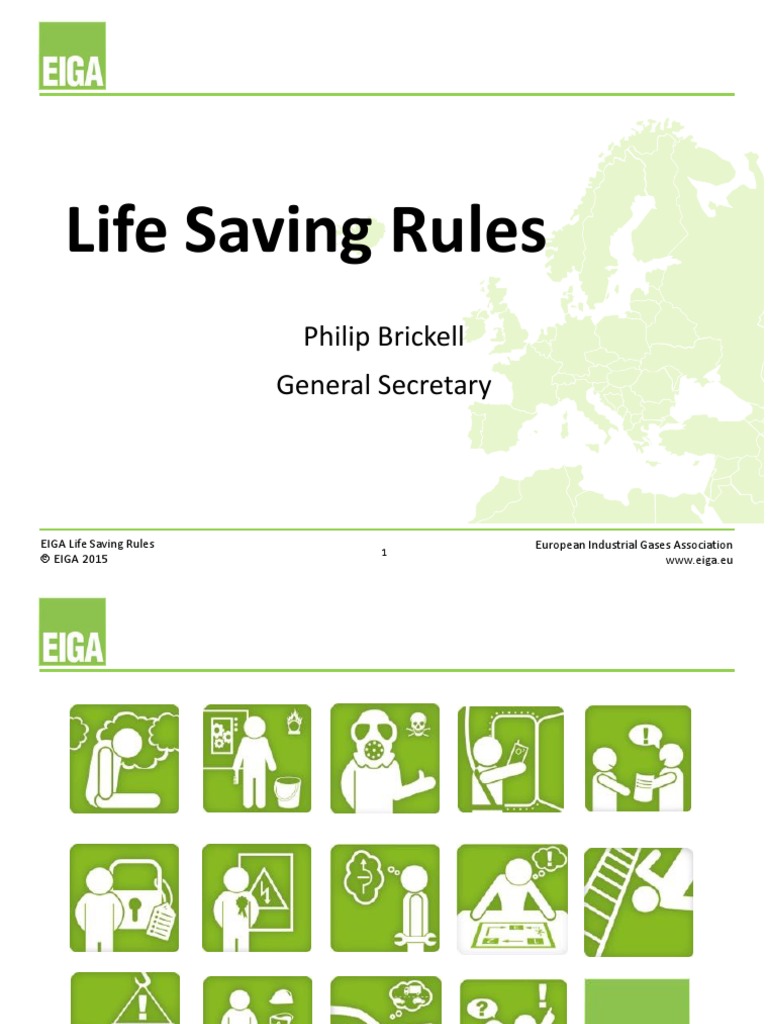 18 - 04 Brickell - Life Saving Rules | PDF | Safety | Risk