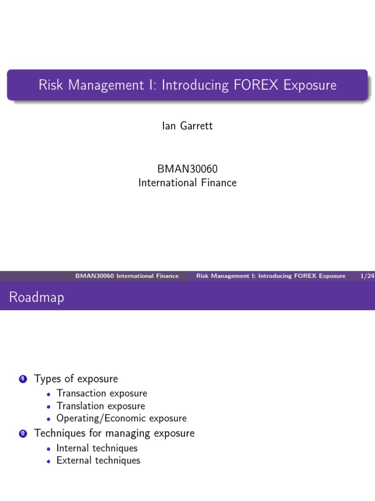 Risk Management I Intro FOREX Exposure | PDF | Foreign Exchange Market ...