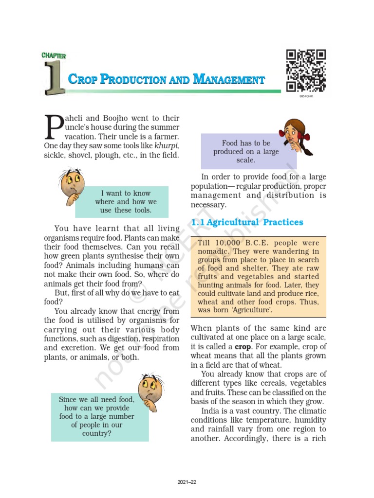 Class 8th Science | PDF | Fertilizer | Soil