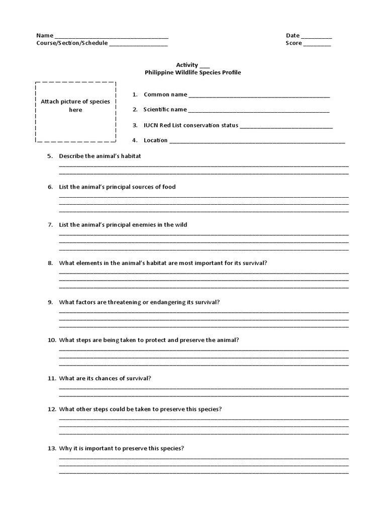 Philippine Wildlife Species Profile Activity | PDF | Biota | Wildlife