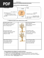 VIII Predicatul Fisa de Lucru | PDF