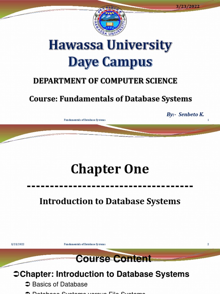 Intro to Database Systems | PDF | Databases | File System