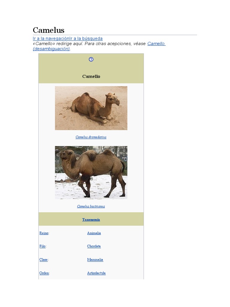 Camelus WIK | PDF | Camello | Ganado