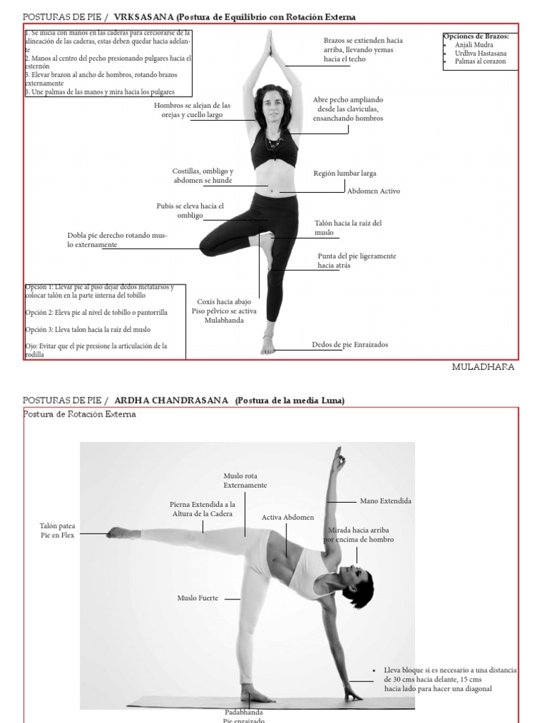 Posturas de Pie en Yoga: Guía Completa | PDF | Pie | Términos ...