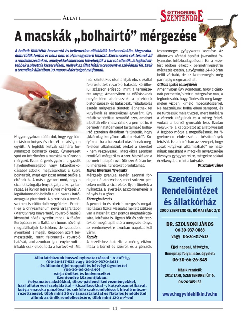 2015 05 Macska Bolhairto Mergezes | PDF