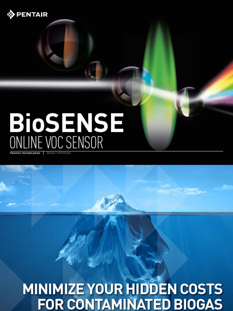 Biogas Quality Monitoring Biosense Pentair Haffmans v1726 en | PDF | Biogas | Chemistry