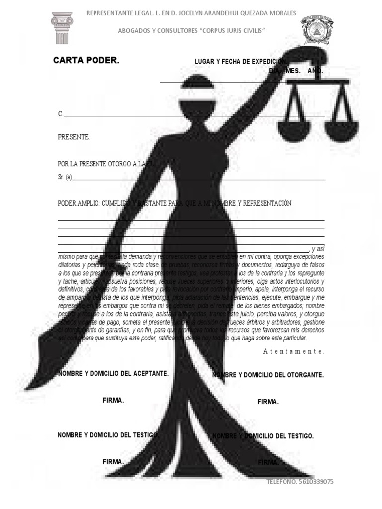 Carta Poder | PDF | Gobierno | Justicia