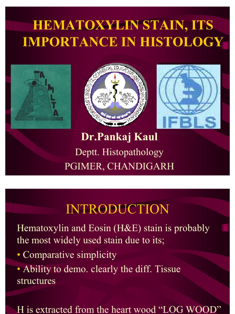 Hematoxylin Stain Its Importance in Histology | Download Free PDF ...