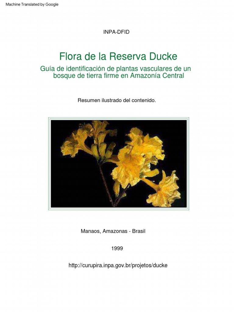 Flora Da Reserva Ducke - Apartados - Opt - Compressed-Comprimido | PDF ...