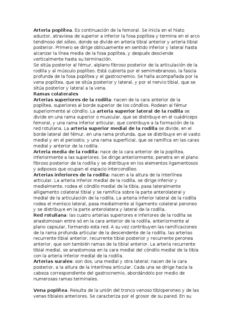 Arteria Poplítea | PDF | Rodilla | Extremidades (anatomía)