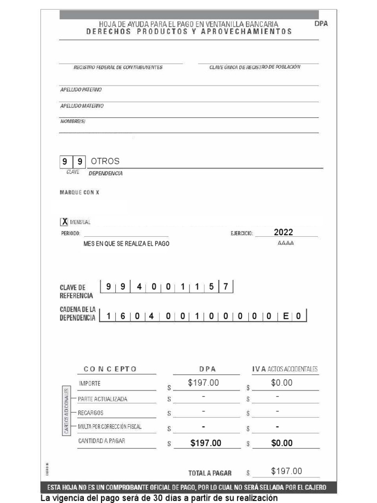 Formato E5 01 - DPA | PDF
