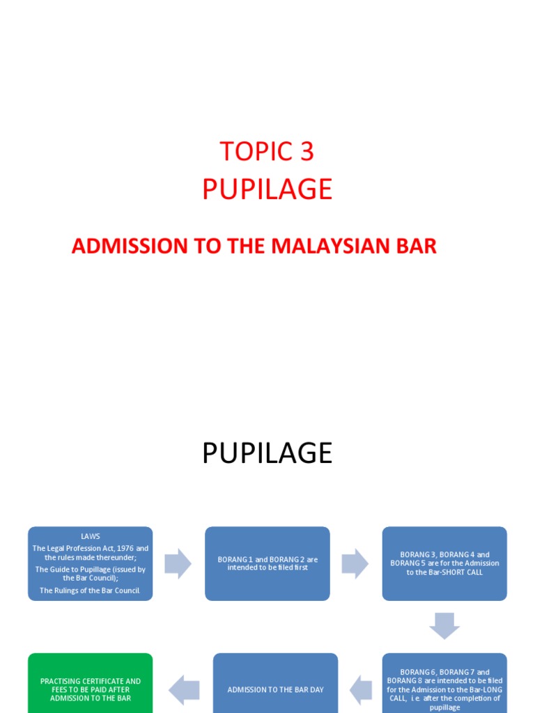 TOPIC 3. Pupilage Process | PDF | Advocate | Common Law