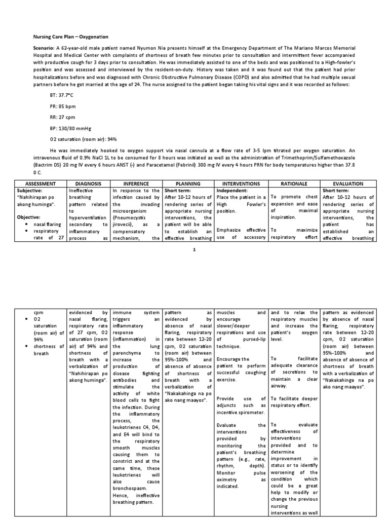NCP Ineffective Breathing Pattern | PDF | Breathing | Respiratory System