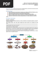 Mapa Conceptual Materia y Su Clasificacion 3 | PDF