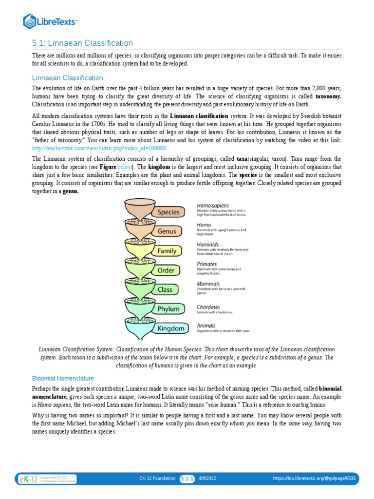 5 01 Linnaean Classification Pdf Taxonomy Biology Species