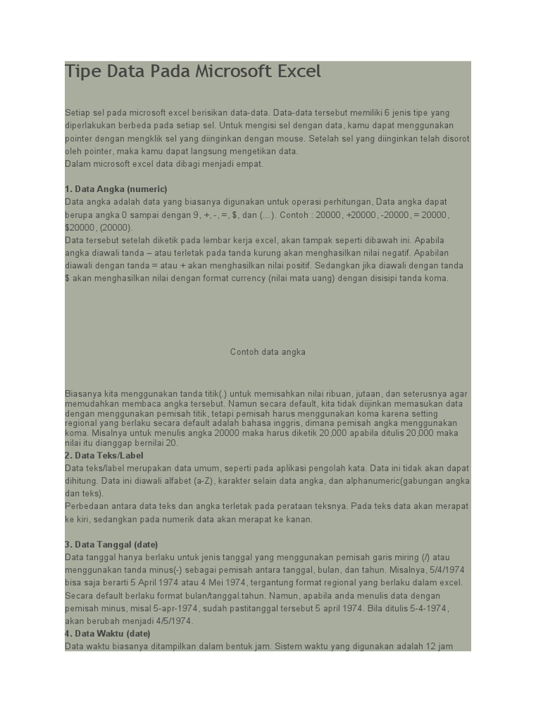 Tipe Data Pada Microsoft Excel | PDF