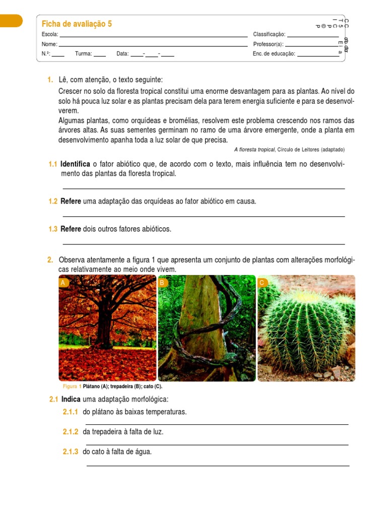 Ctic5 em Ficha Avaliacao 5 | PDF | Espécies invasoras | Plantas Ctic5 em Ficha Avaliacao 5 | PDF | Espécies invasoras | Plantas