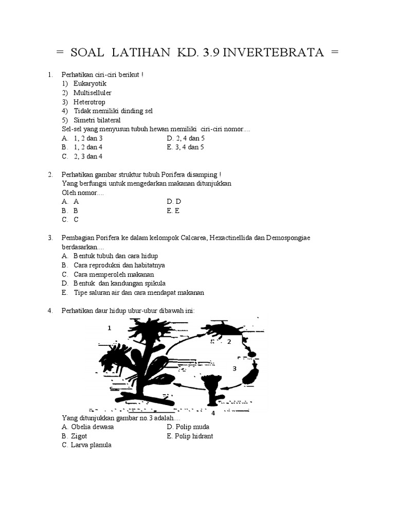 Soal Latihan Invertebrata | PDF