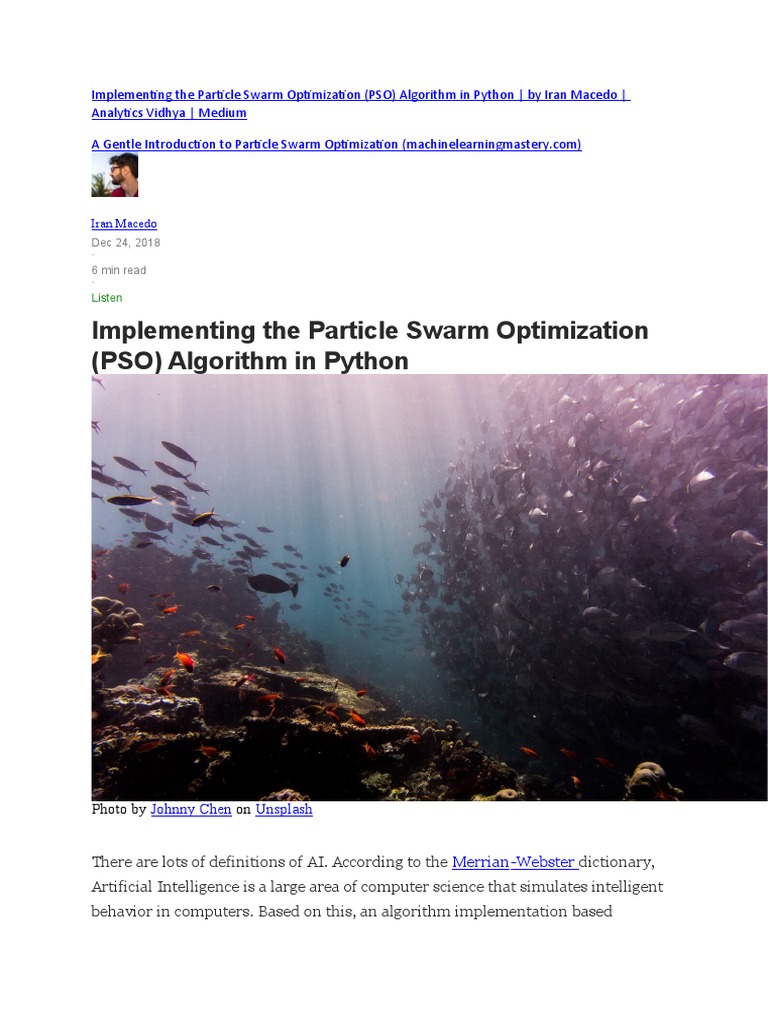 Implementing The Particle Swarm Optimization Pdf Computing Computational Science 