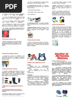 Triptico EPP | PDF | Contaminación | Naturaleza